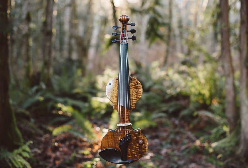 Custom Stringed Instruments - Robert Niclas Fine Woodworking