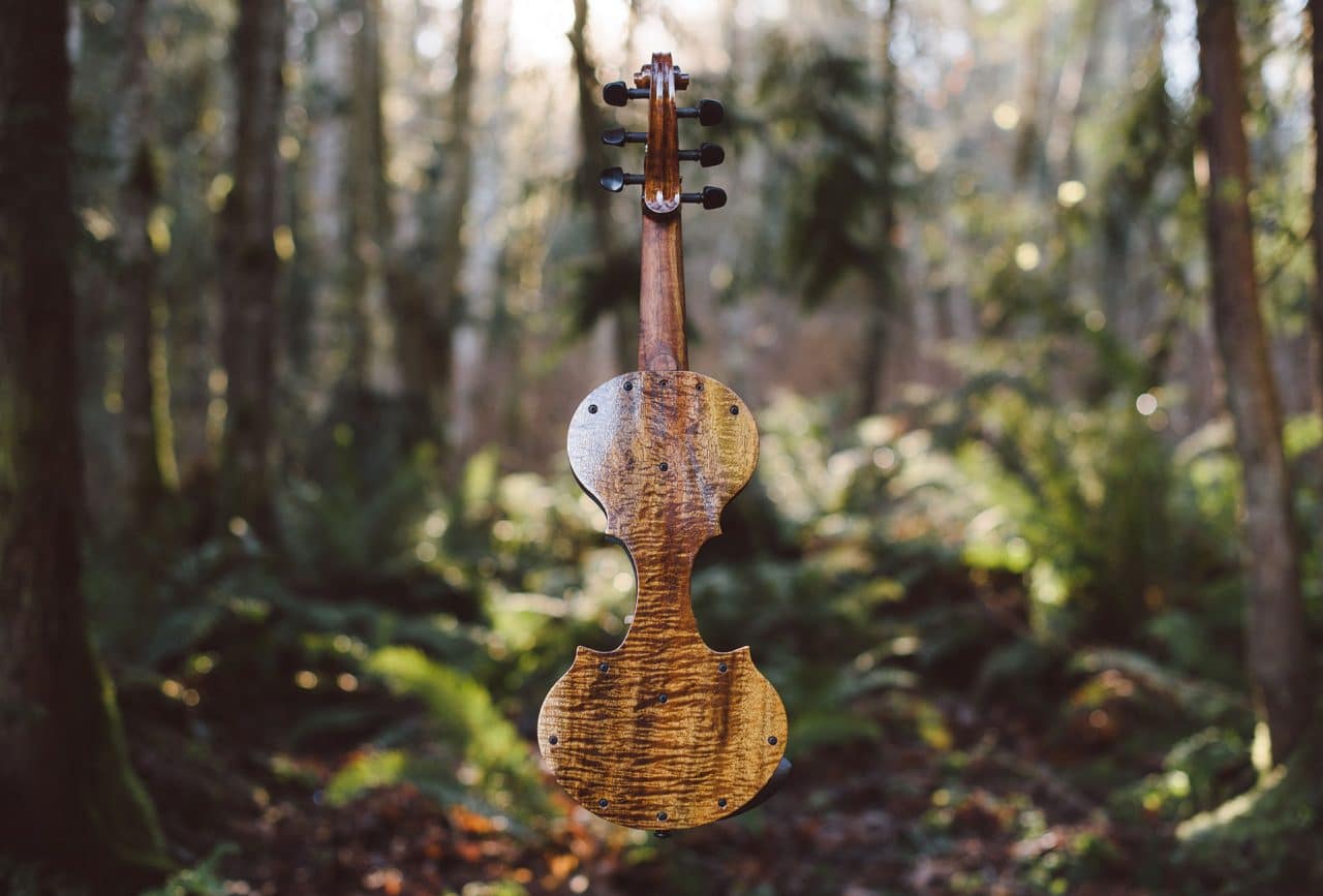 Custom Stringed Instruments - Robert Niclas Fine Woodworking