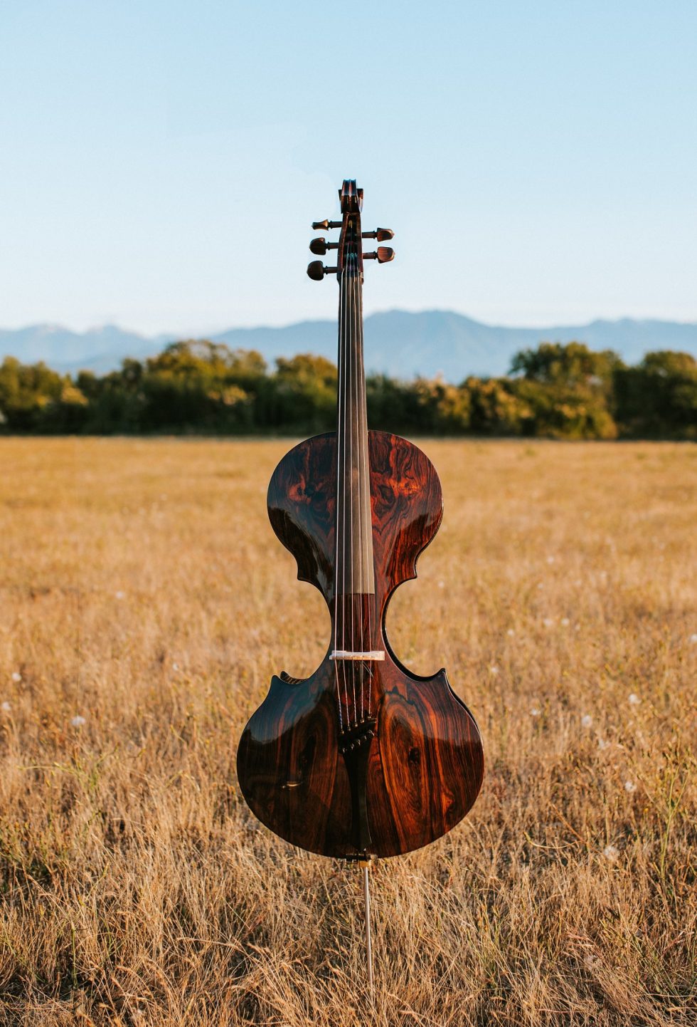 Custom Stringed Instruments - Robert Niclas Fine Woodworking