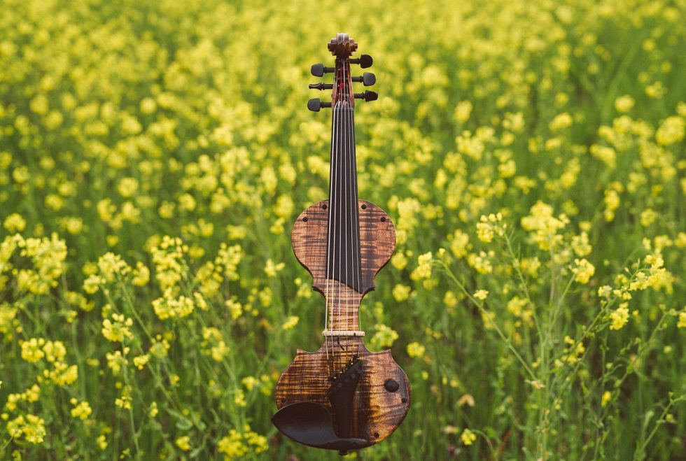 Custom Stringed Instruments - Robert Niclas Fine Woodworking