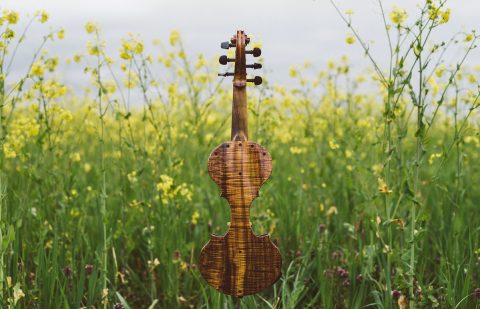 Custom Stringed Instruments - Robert Niclas Fine Woodworking